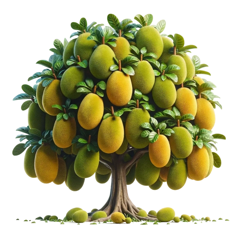 Jackfruit – thenatureconservancy.uk